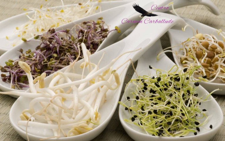 Beneficios de las legumbres: Los germinados - Centro Carmen Carballude